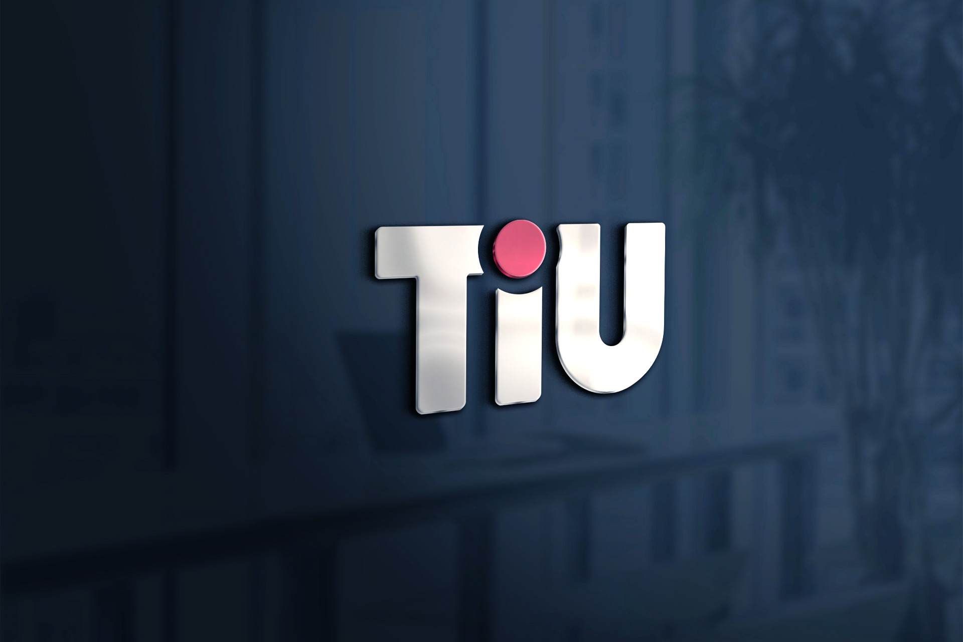 Whistleblowing • TIU Holdings